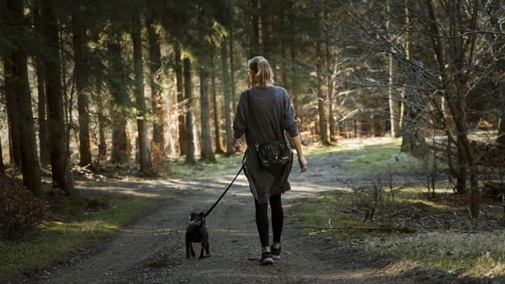 23 Great Benefits of Long Walks - The Lifestyle Times